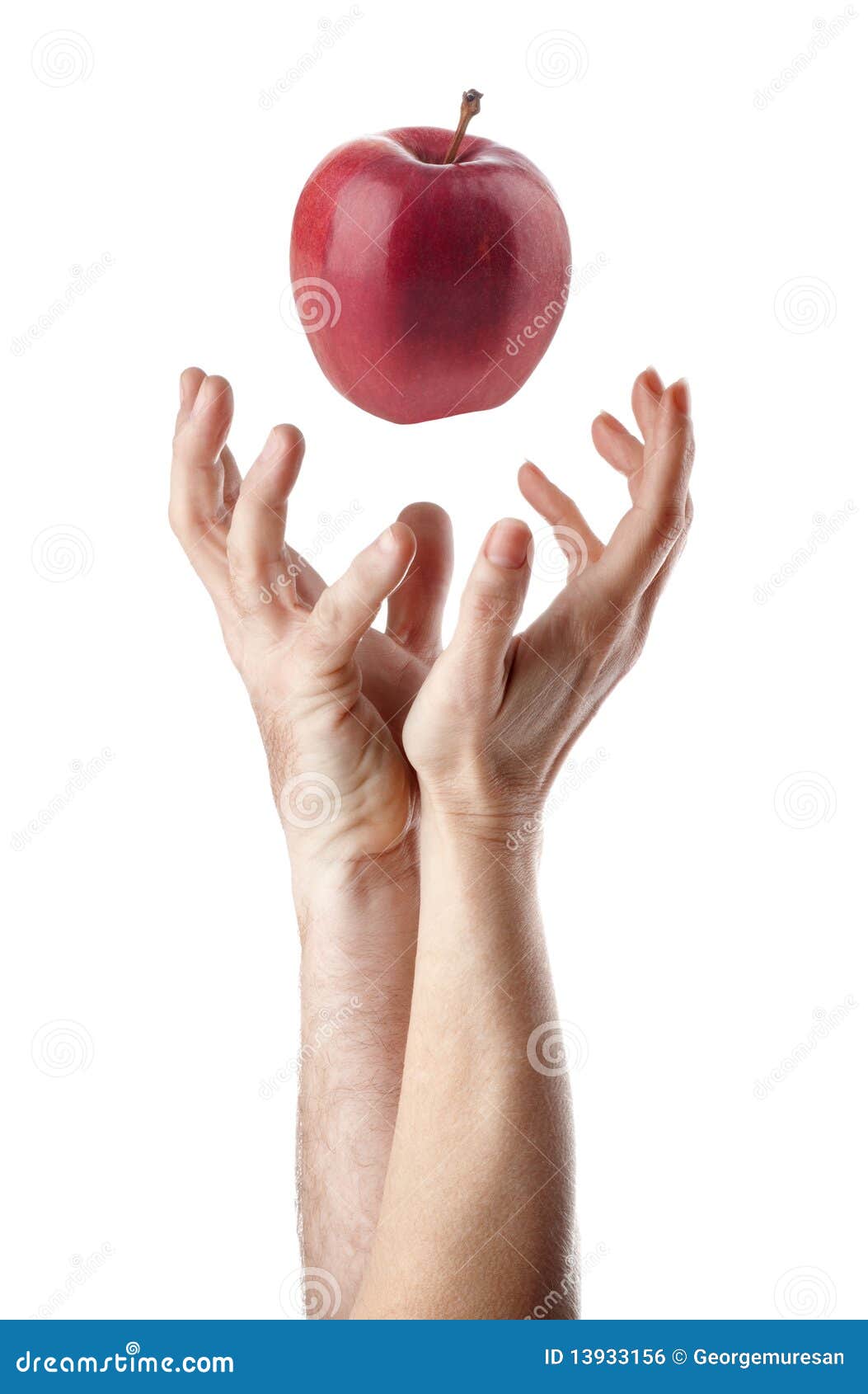 First sin stock photo. Image of competition, people, dieting - 13933156