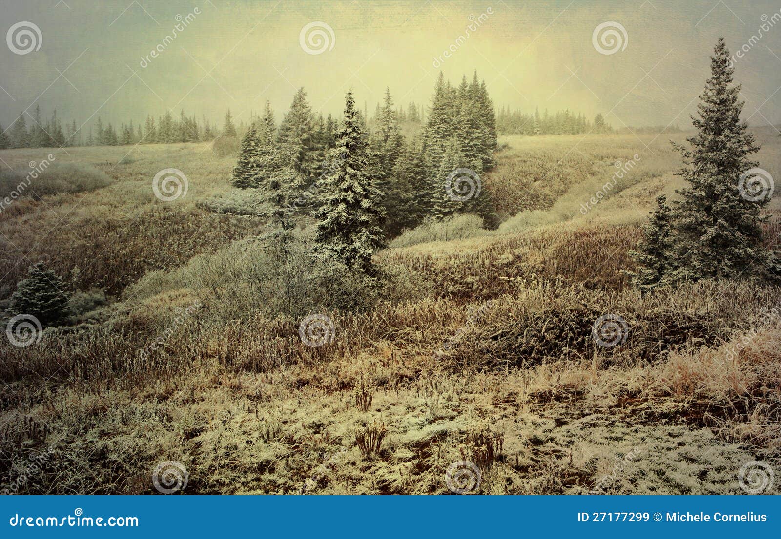 First Snow stock image. Image of natural, snow, nature - 27177299