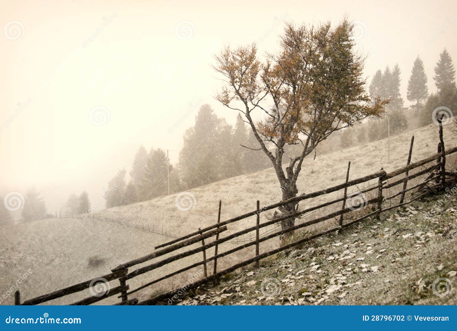 First snow stock photo. Image of light, evening, landscape - 28796702