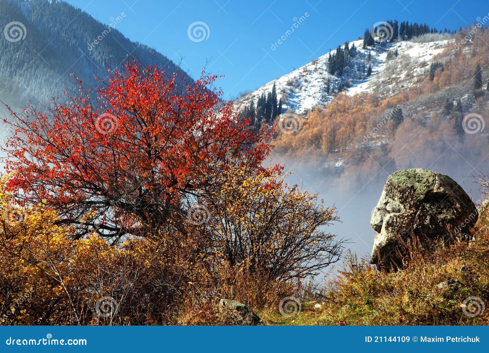 First Snow in Autumn Mountains Stock Image - Image of outdoors, orange ...