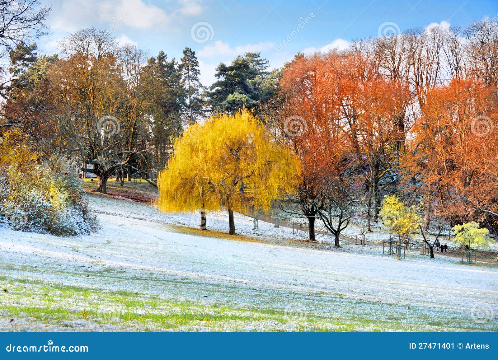 The First Snow in the Autumn Park. Stock Image - Image of park, autumn ...
