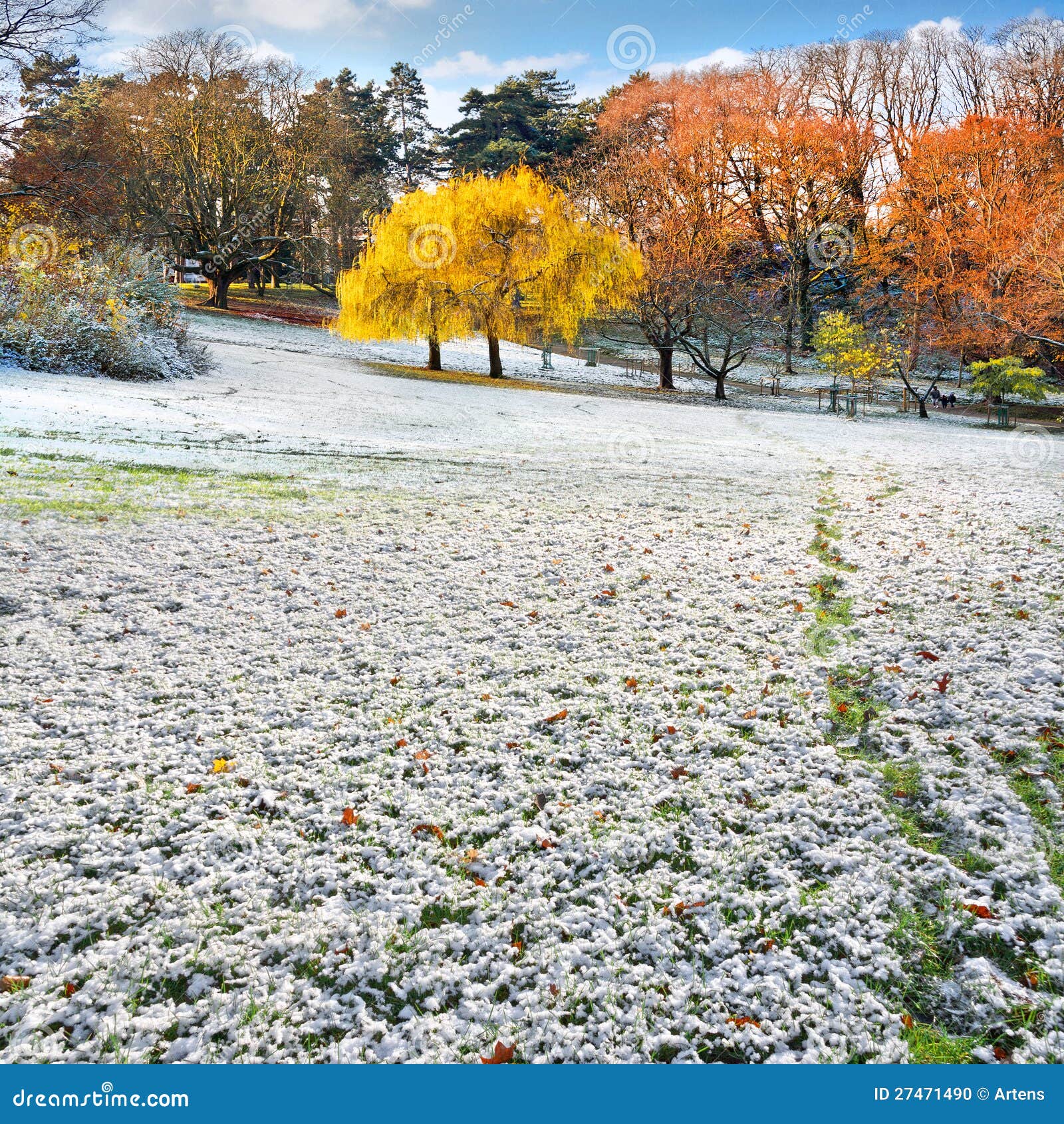 The First Snow in the Autumn Park. Stock Photo - Image of fall, nature ...
