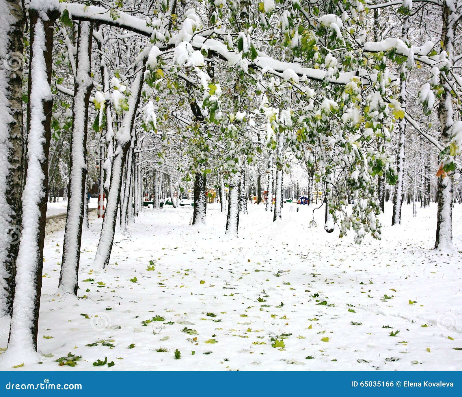 First Snow in the Autumn Park Stock Photo - Image of trees, city: 65035166