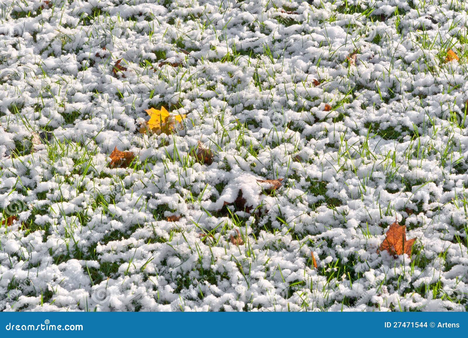 The First Snow. Background of Autumn Leaves Stock Photo - Image of ...