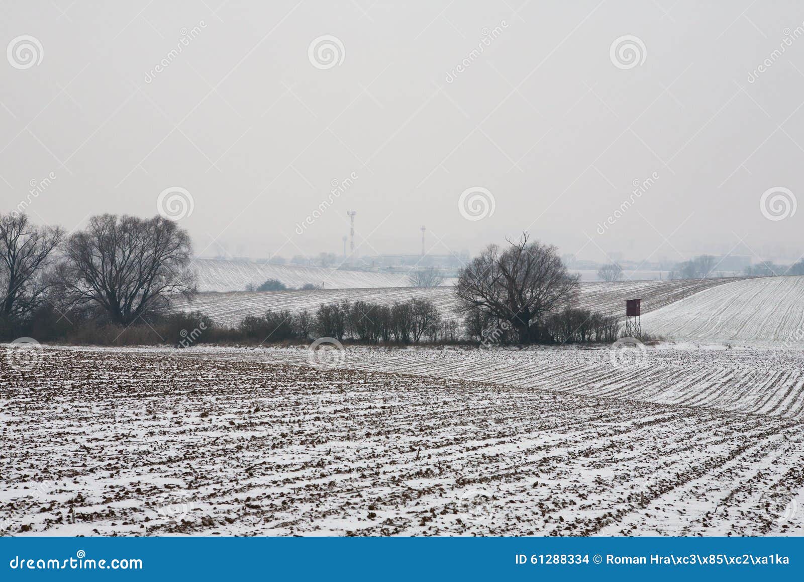 First Snow on the Corn Field Stock Photo - Image of outdoor, covered ...