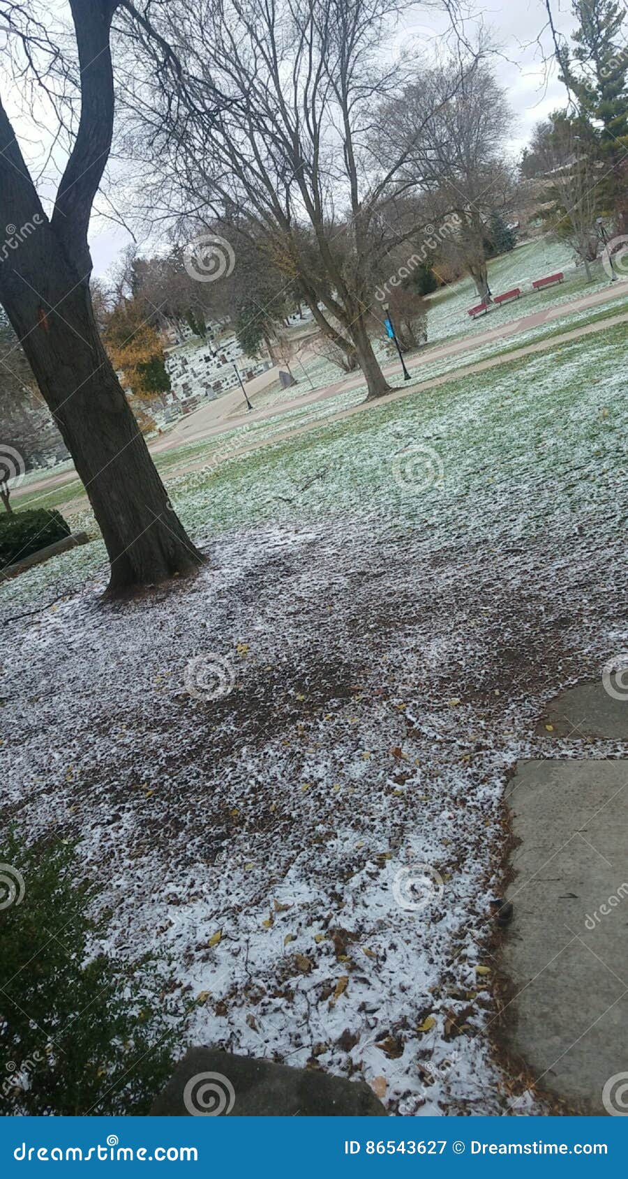 First snow stock image. Image of snow - 86543627