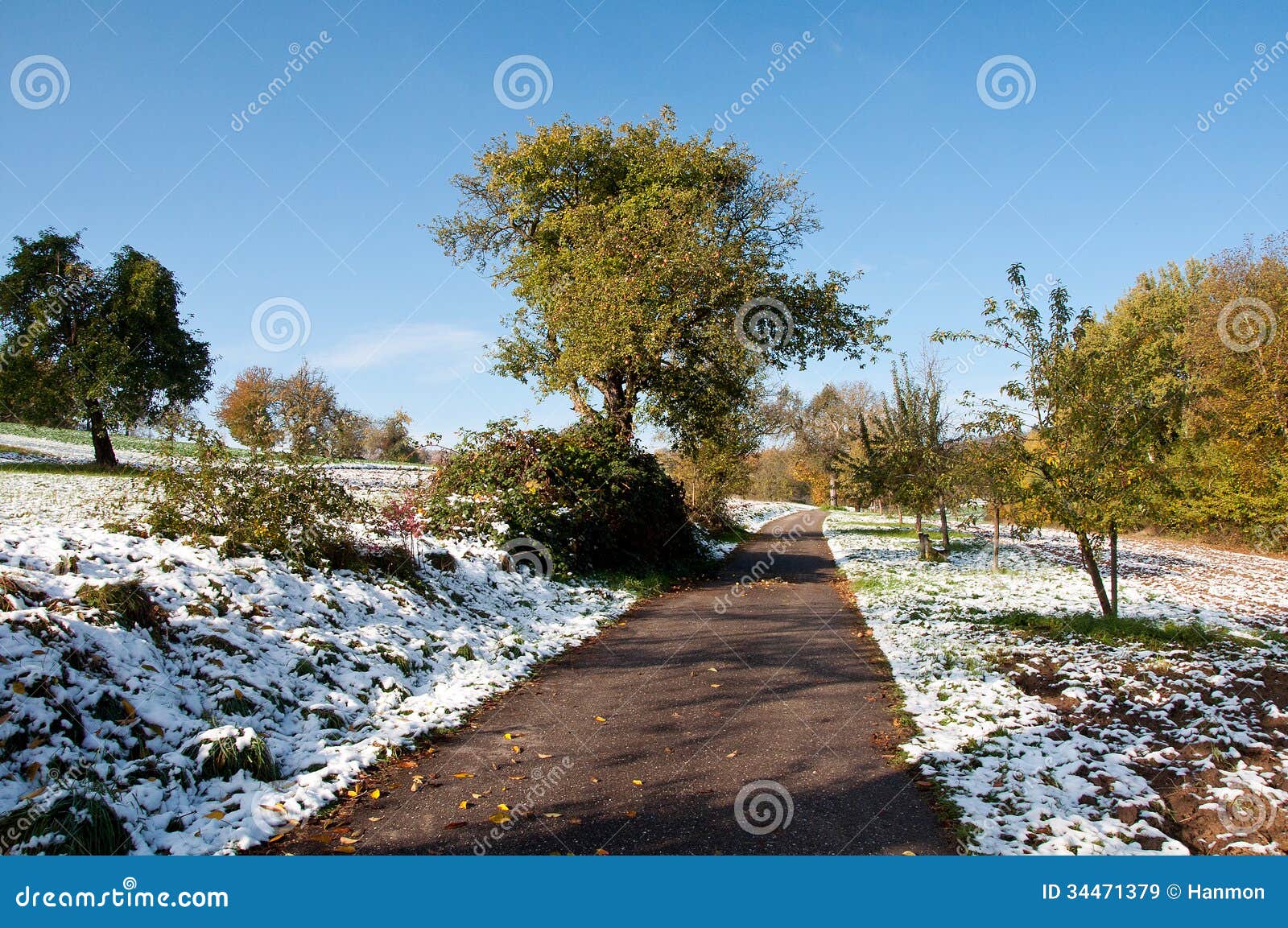 First snow in early winter stock image. Image of leaves - 34471379