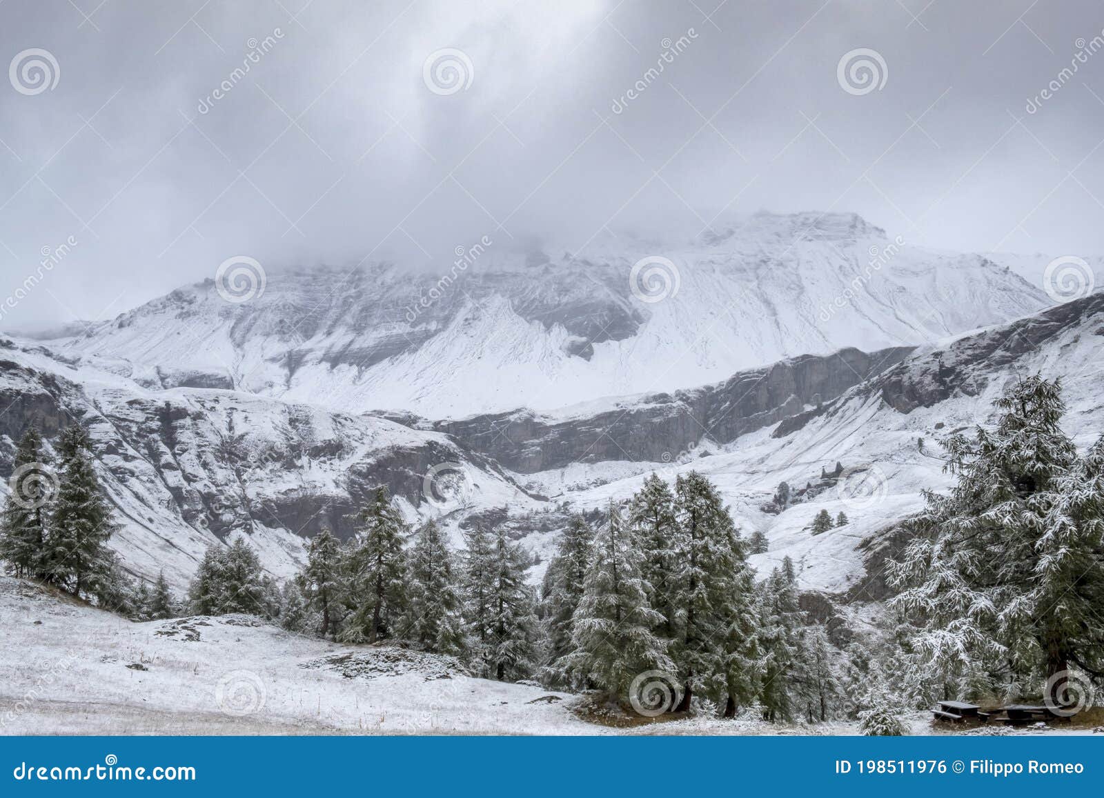 First snow fall season stock photo. Image of hill, conditions - 198511976