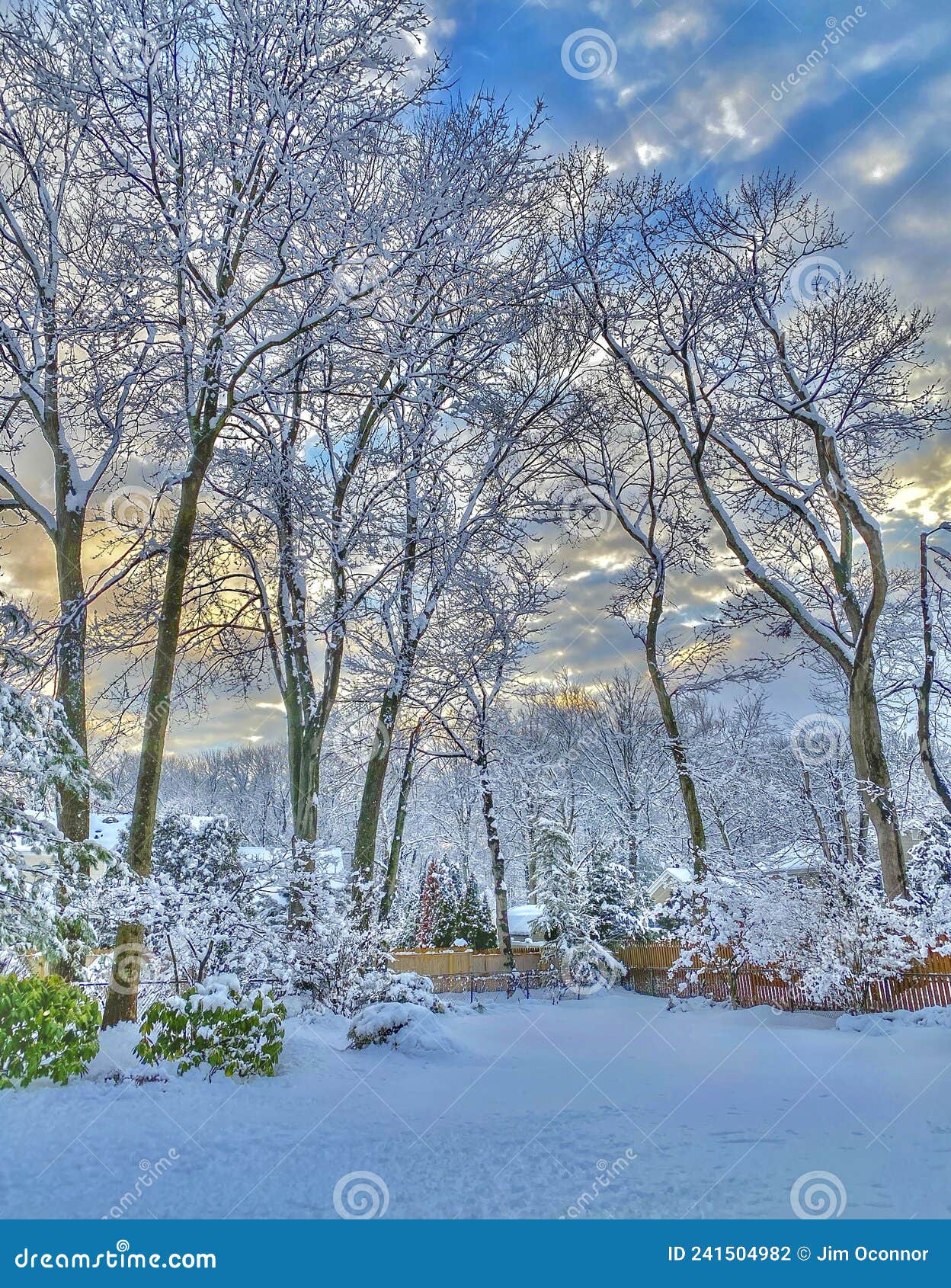First Snow Fall stock photo. Image of clouds, winter - 241504982