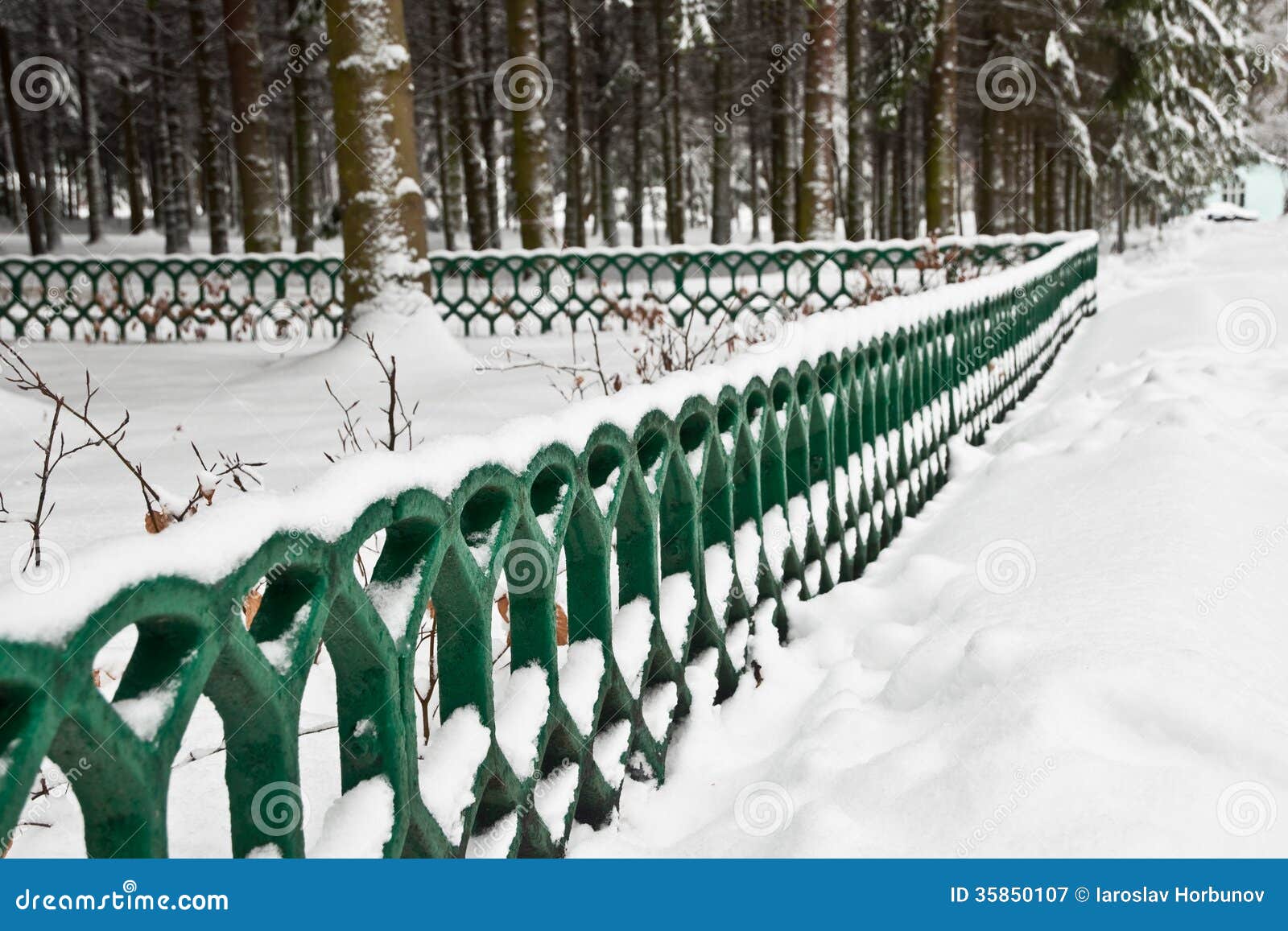 First snow stock image. Image of cold, adversity, lifestyle - 35850107