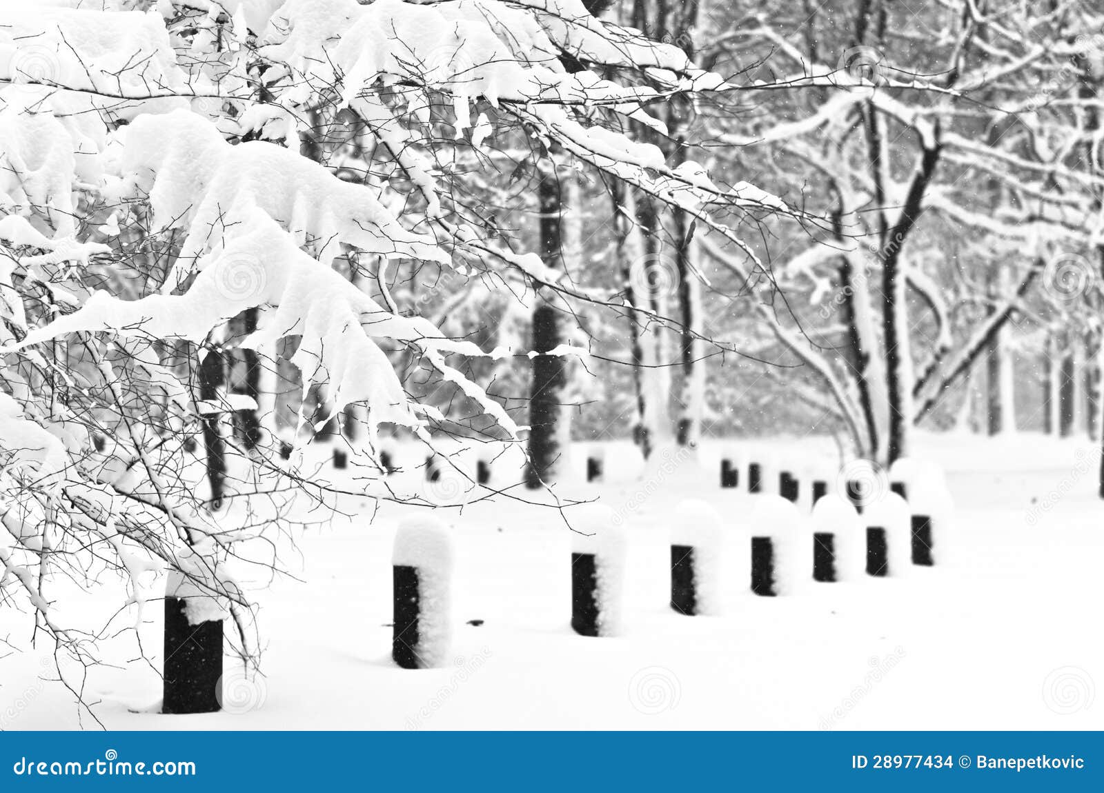 First snow is falling stock photo. Image of frozen, country - 28977434