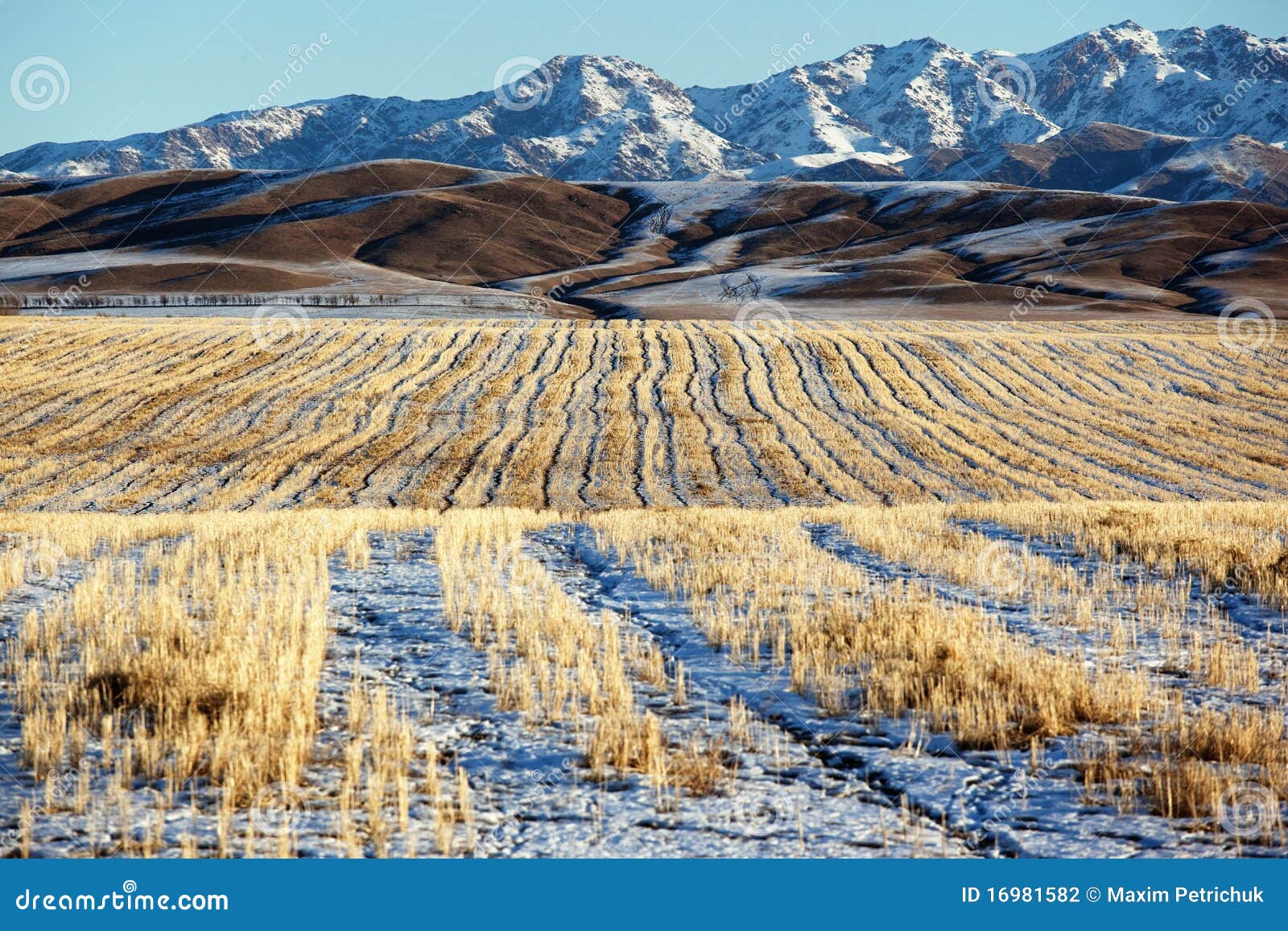 First snow on the fields stock photo. Image of season - 16981582