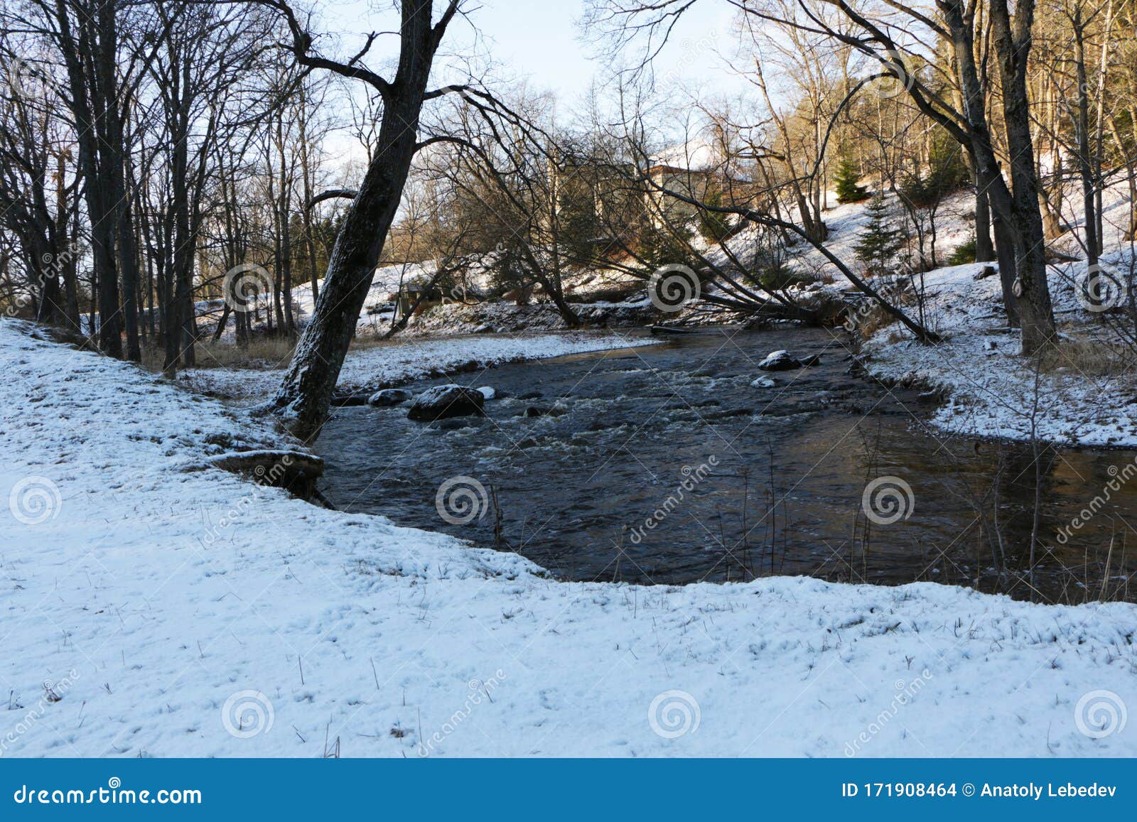The First Snow in the Forest on the River Stock Photo - Image of ...