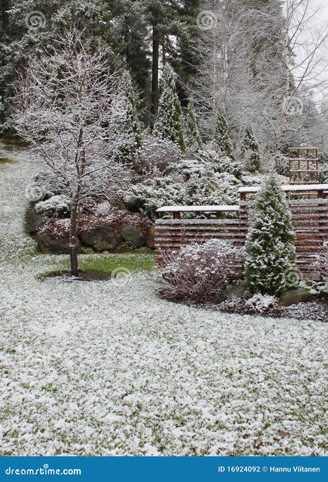 First snow in garden stock photo. Image of snow, winter - 16924092