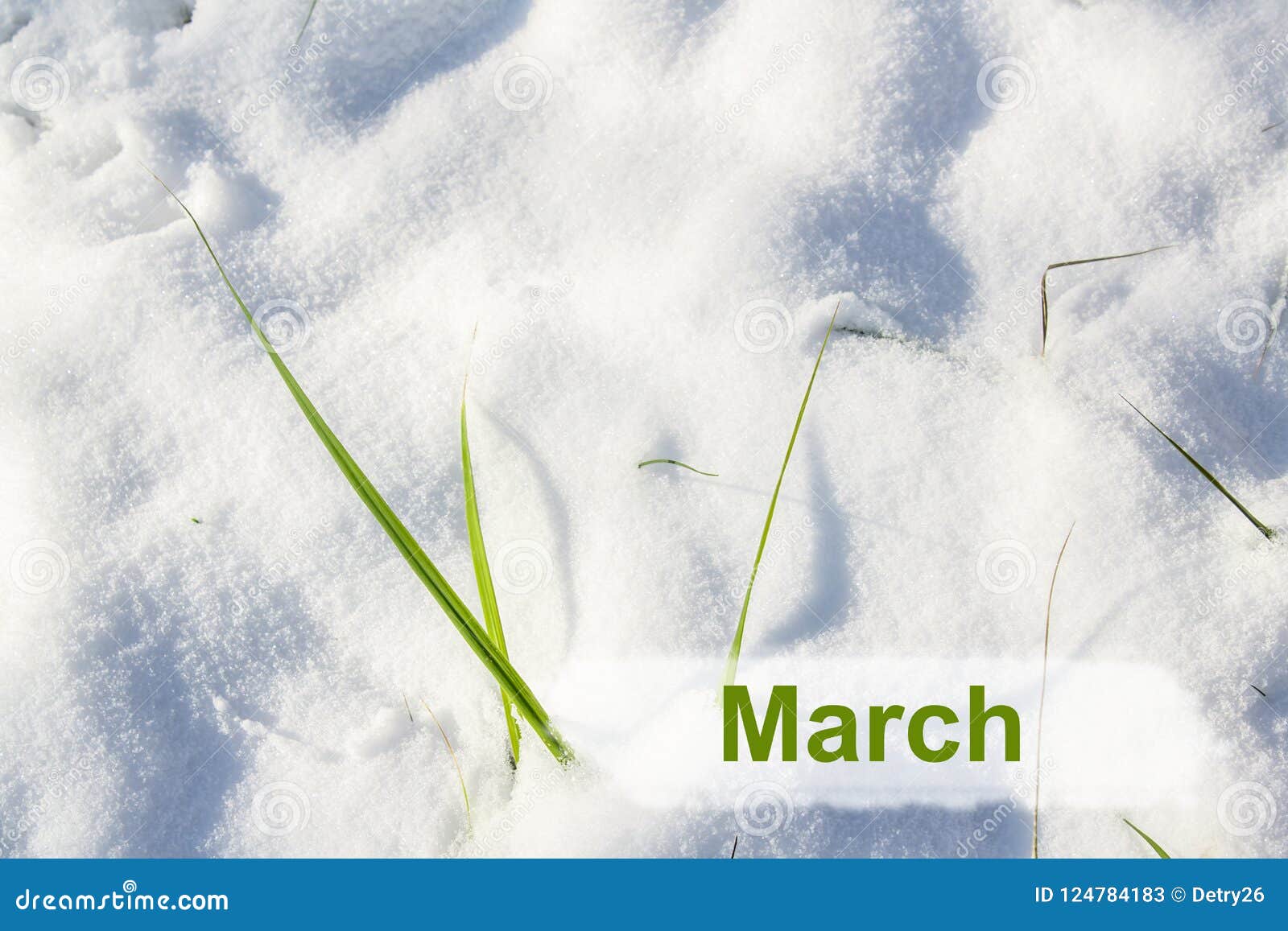 The First Snow on the Grass on a Sunny Day. Stock Image - Image of snow ...