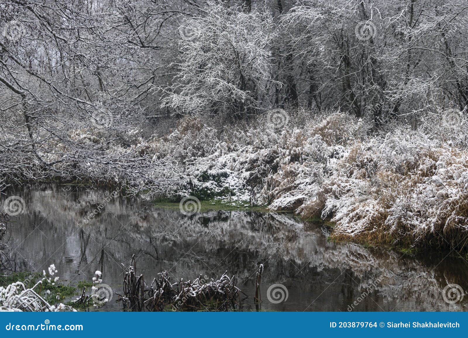 First snow on the river stock photo. Image of foliage - 203879764