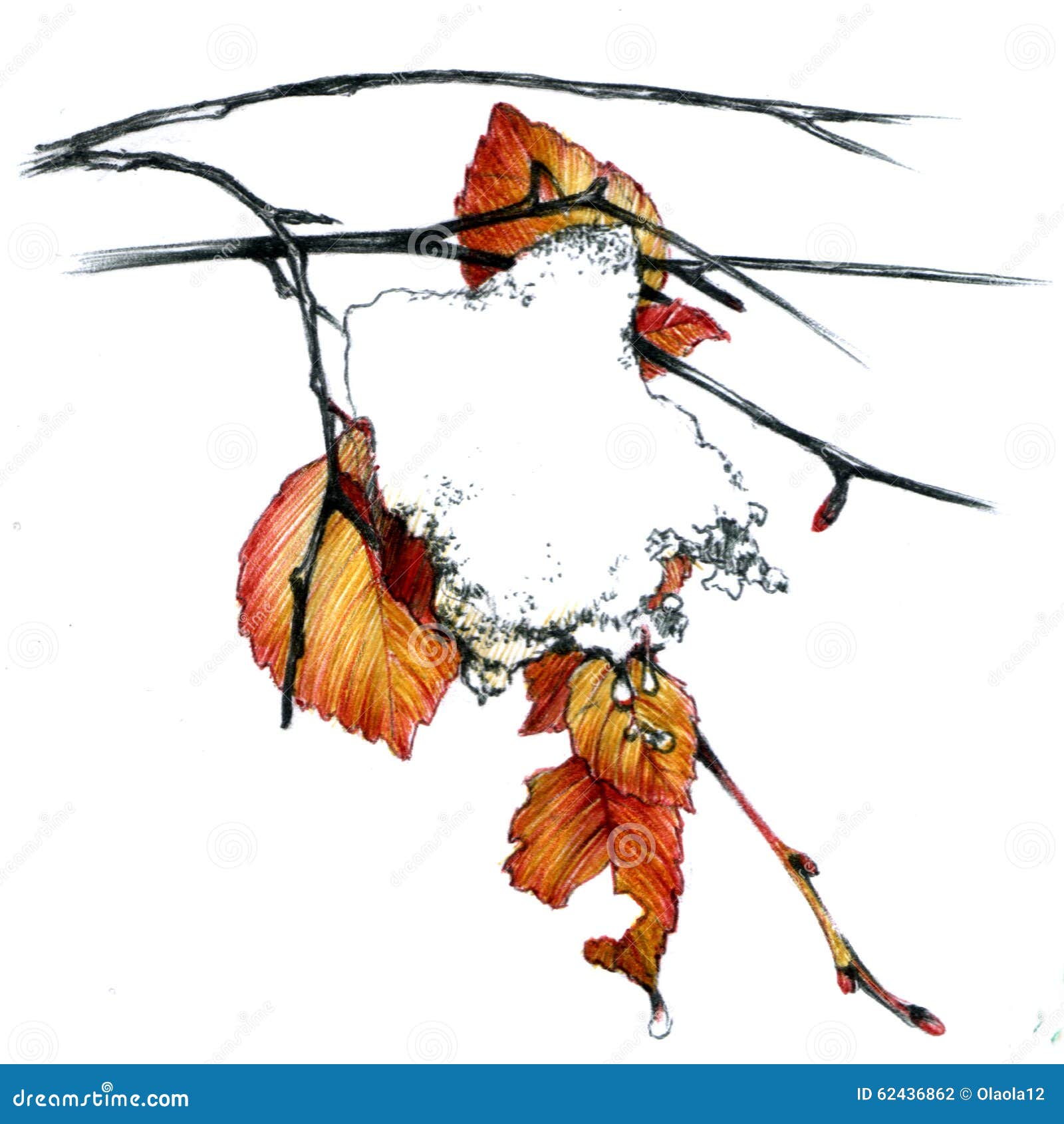 First snow stock illustration. Illustration of nature - 62436862