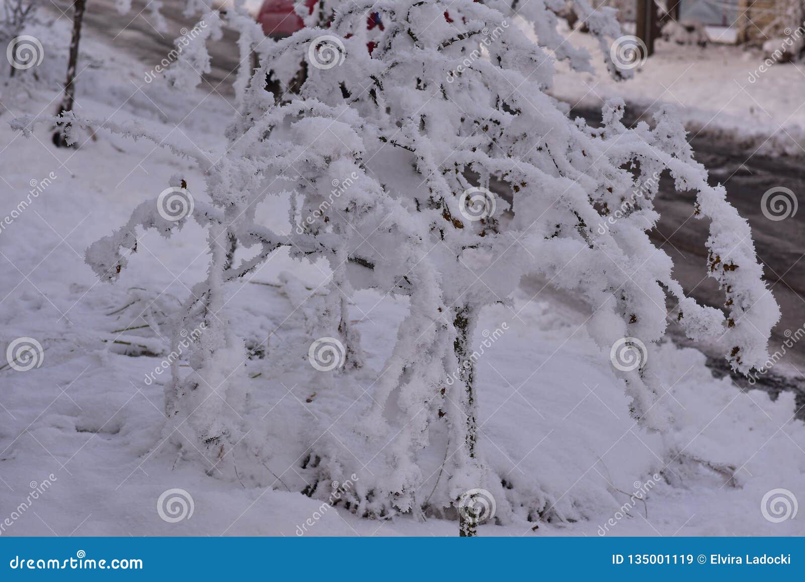 The first snow at my home stock image. Image of home - 135001119
