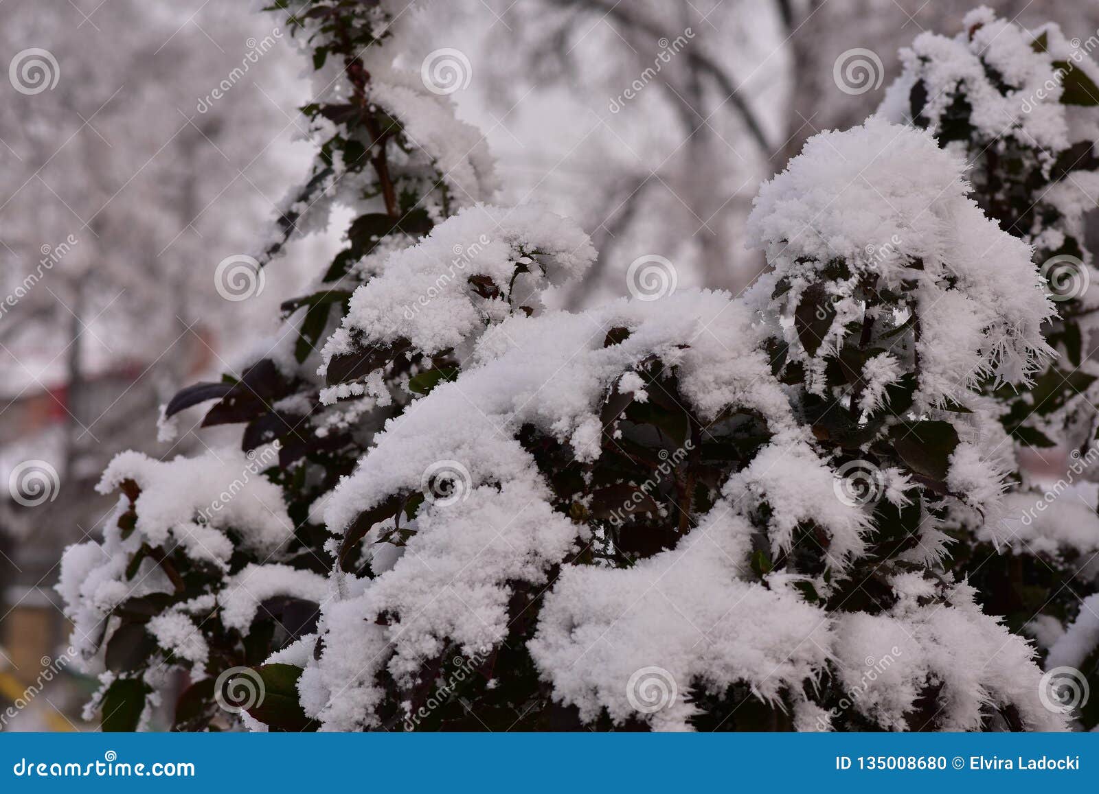 The first snow at my home stock photo. Image of backgraund - 135008680