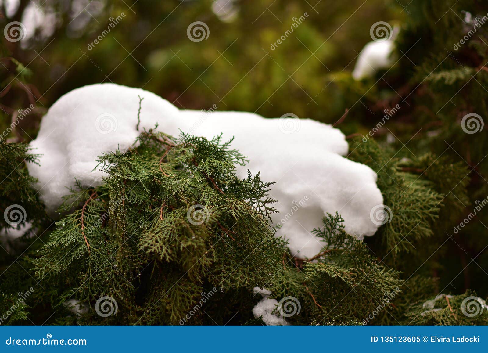 The first snow at my home stock image. Image of glowing - 135123605