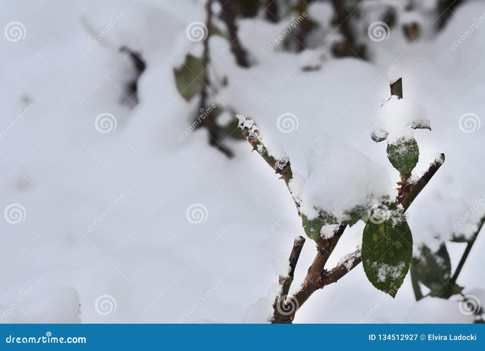 The first snow at my home stock image. Image of close - 134512927
