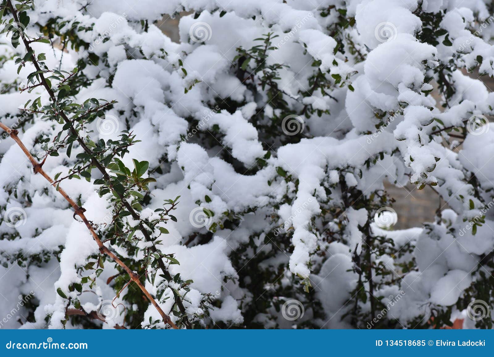 The first snow at my home stock image. Image of backgraund - 134518685