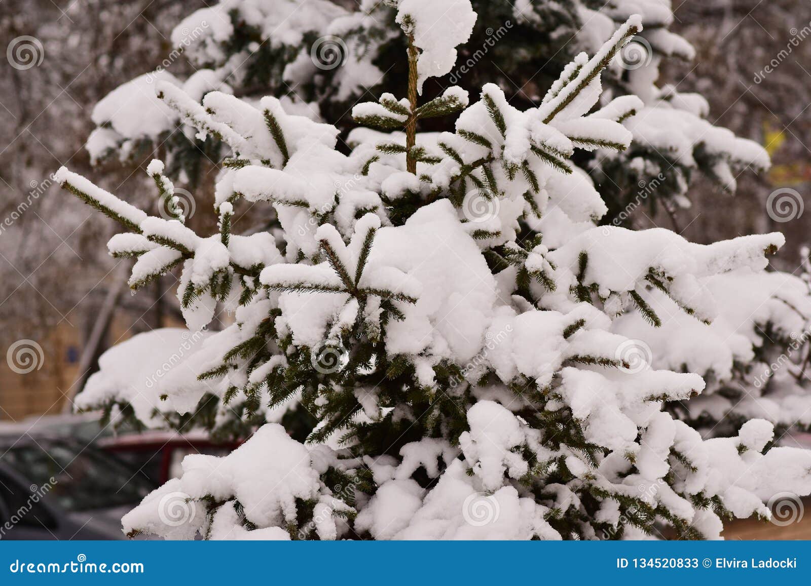 The first snow at my home stock image. Image of year - 134520833