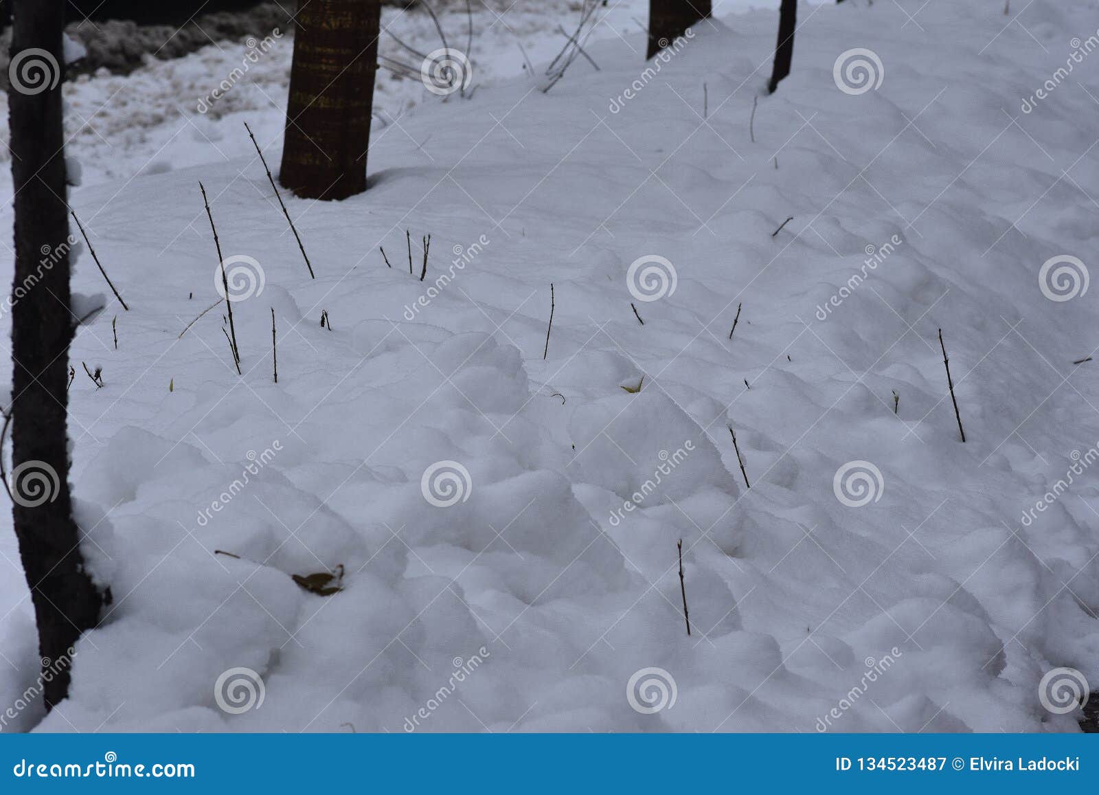 The first snow at my home stock image. Image of decorative - 134523487