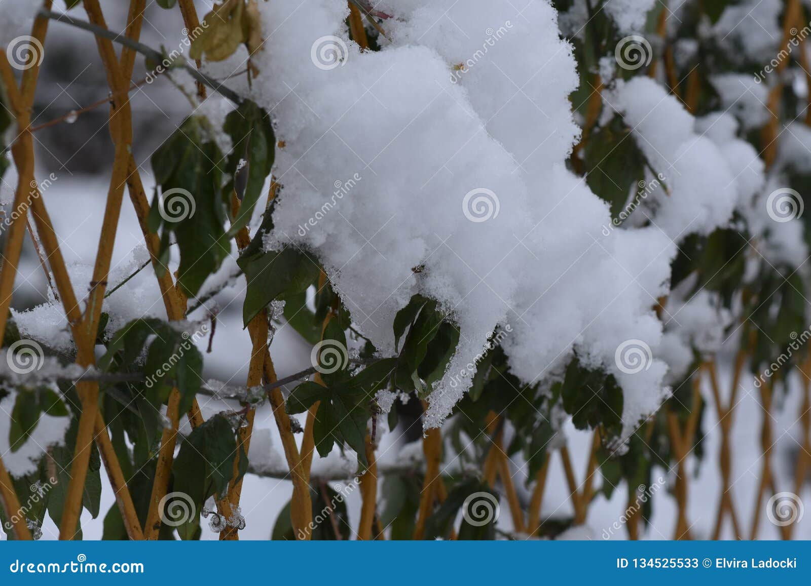 The first snow at my home stock image. Image of white - 134525533