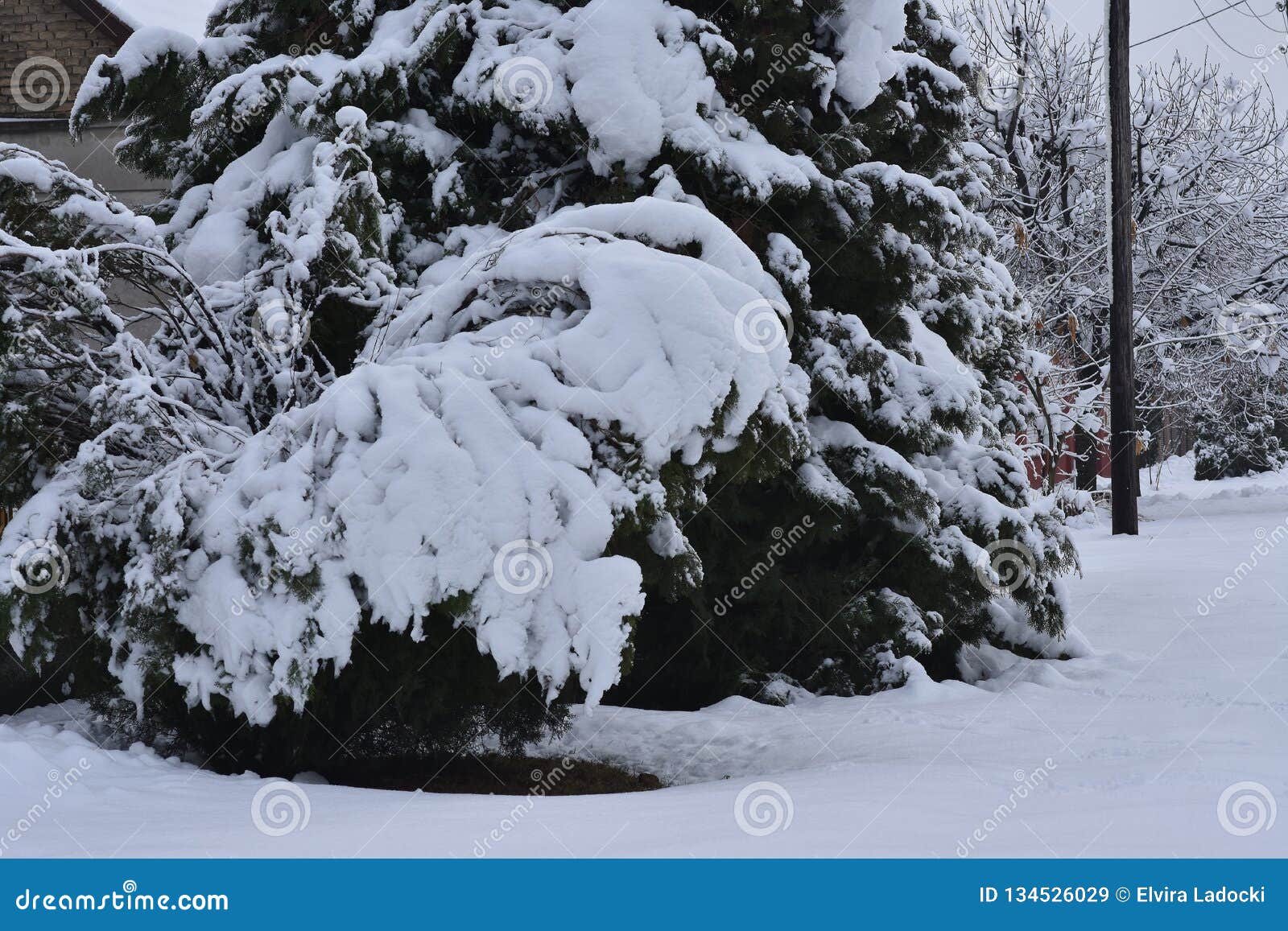 The first snow at my home stock image. Image of decorative - 134526029