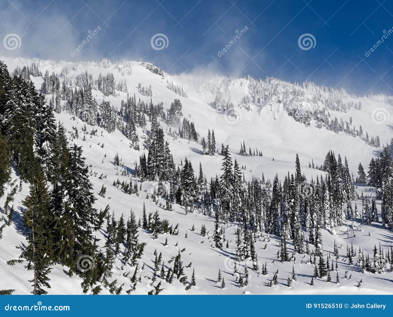 First Snow Rainier stock photo. Image of snowshoe, back - 91526510