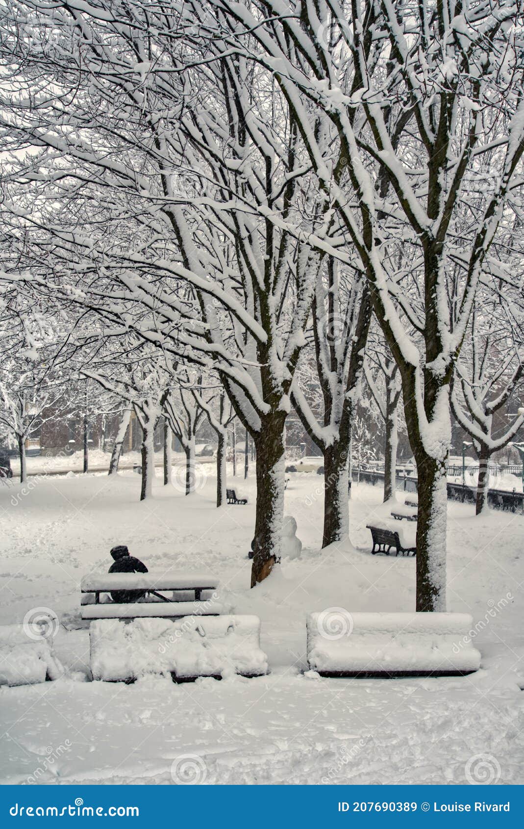 First snow storm of 2021 editorial stock image. Image of storm - 207690389