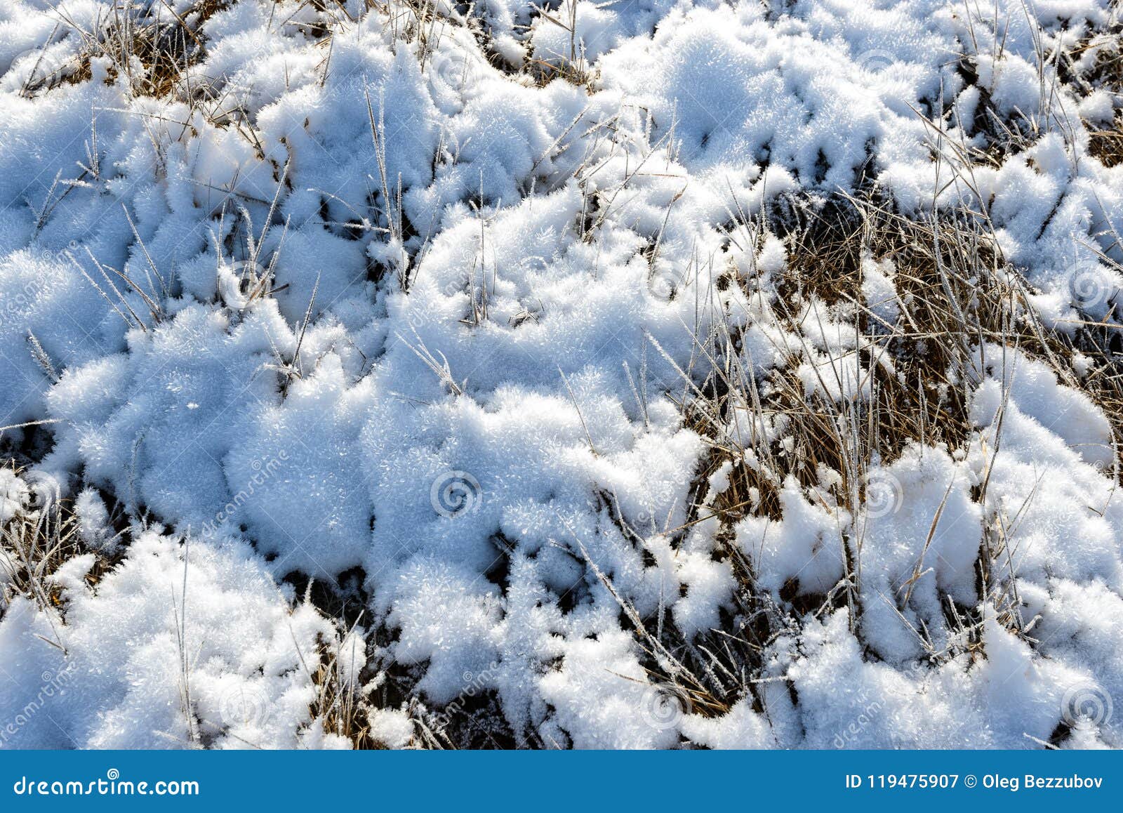 First Snow, Beautiful Structure Stock Image - Image of nature, fall ...