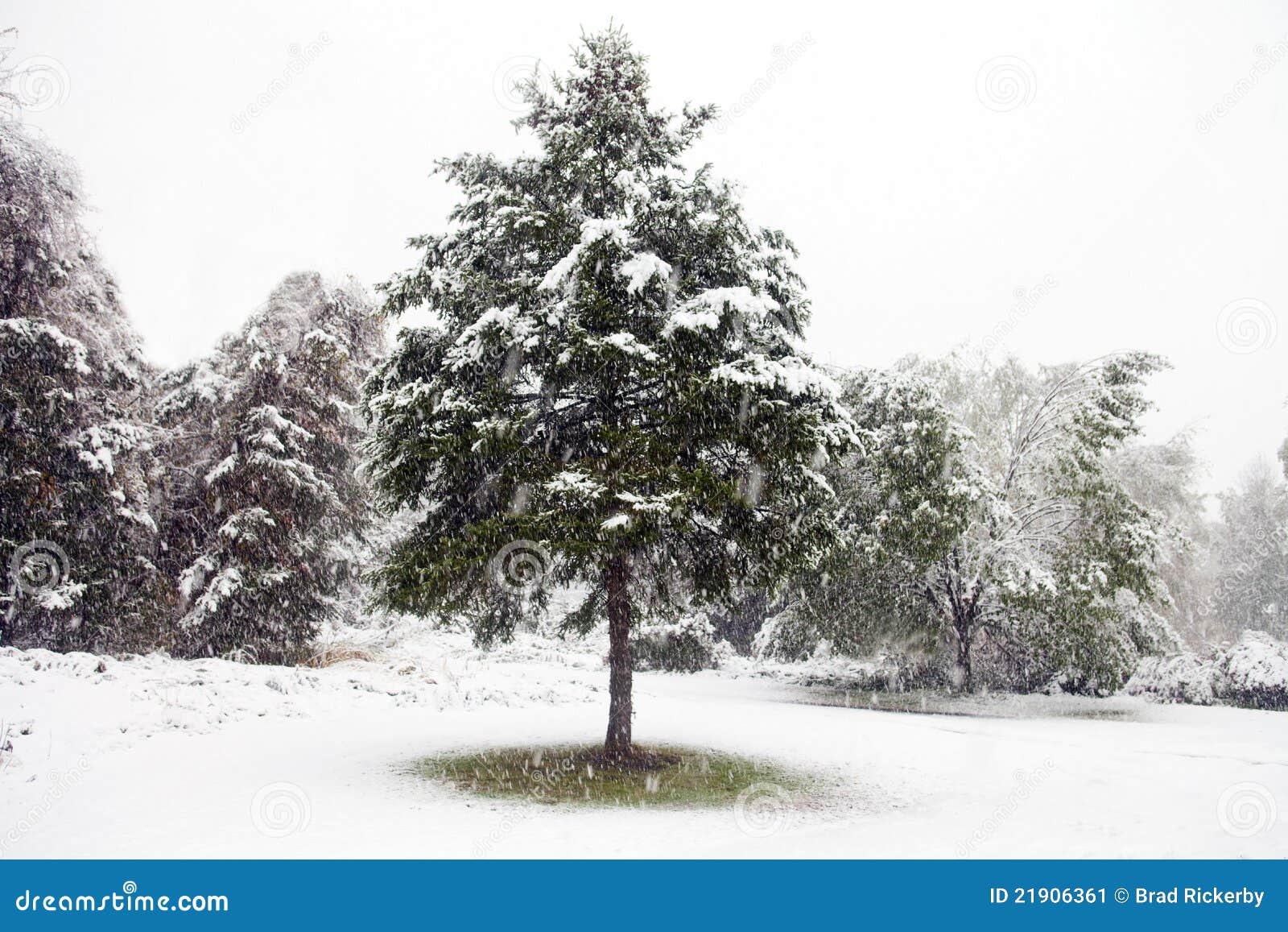 First Snow of Winter stock image. Image of horizontal - 21906361