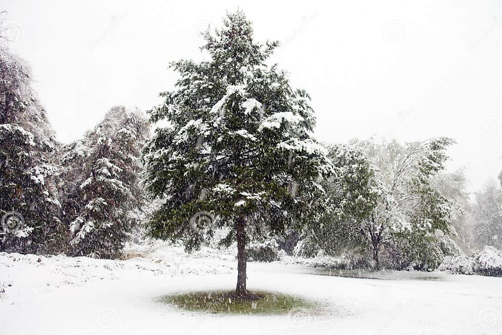 First Snow of Winter stock image. Image of horizontal - 21906361