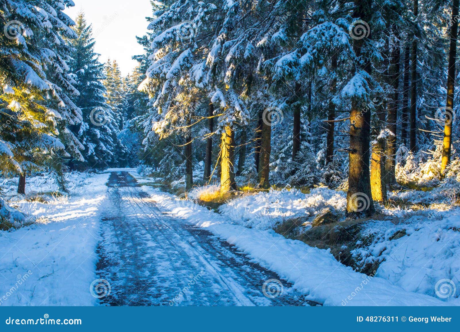 The First Snow in the Winter Stock Image - Image of landscape, blue ...