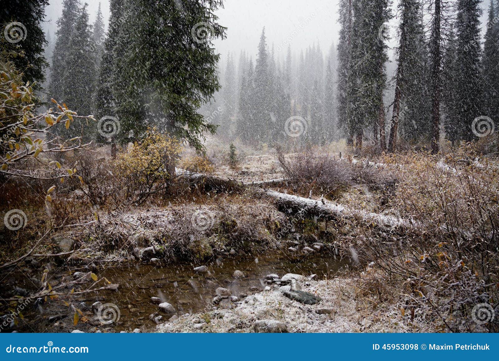 First snowfall stock photo. Image of natural, travel - 45953098