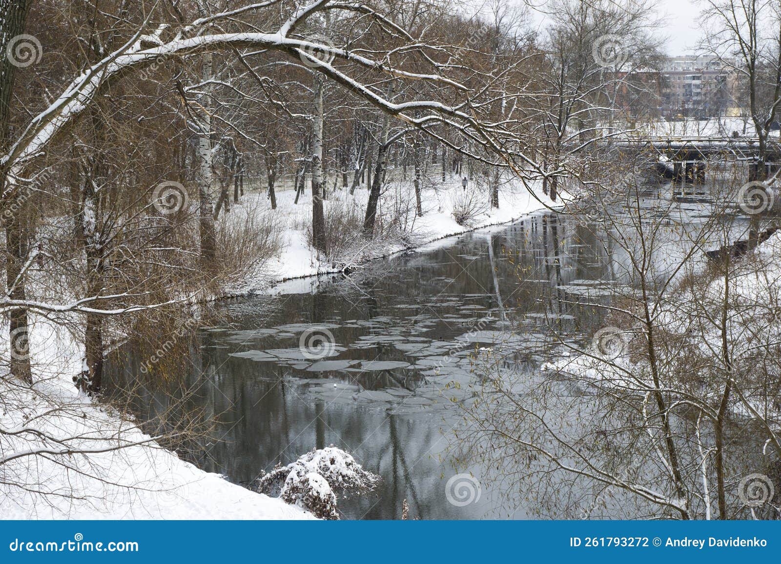 The first snow. stock photo. Image of color, fencing - 261793272