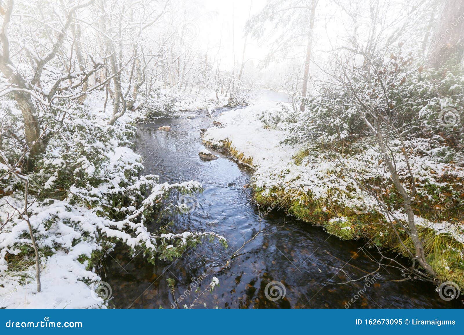 First snowfall stock image. Image of nature, inna, trees - 162673095