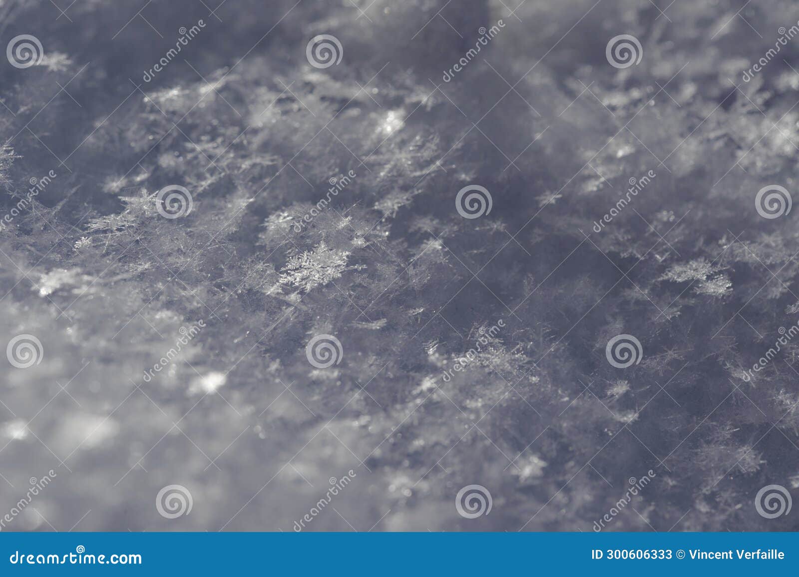 First snowflakes stock image. Image of villeray, montreal - 300606333