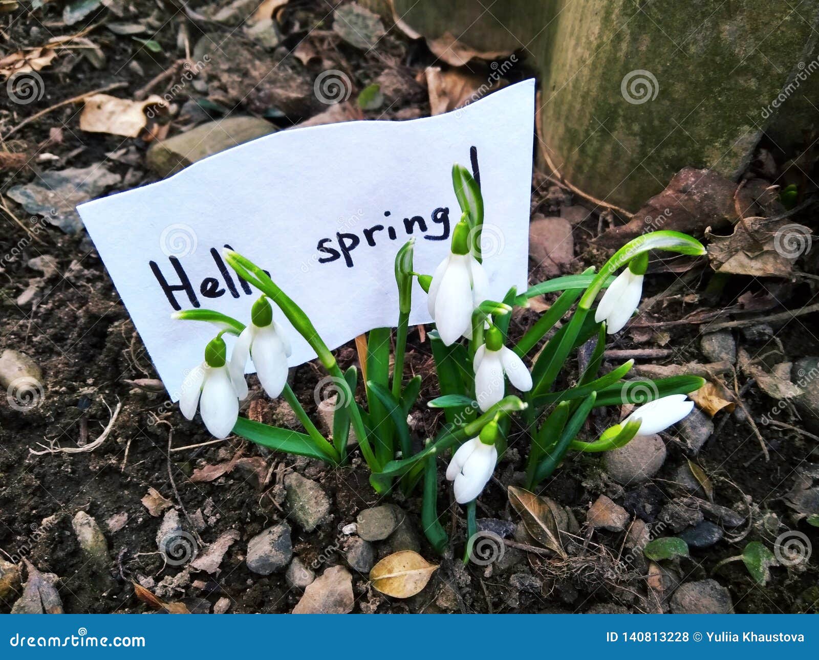 First Spring Day Inscription on Paper Hello Spring on Nature Background ...