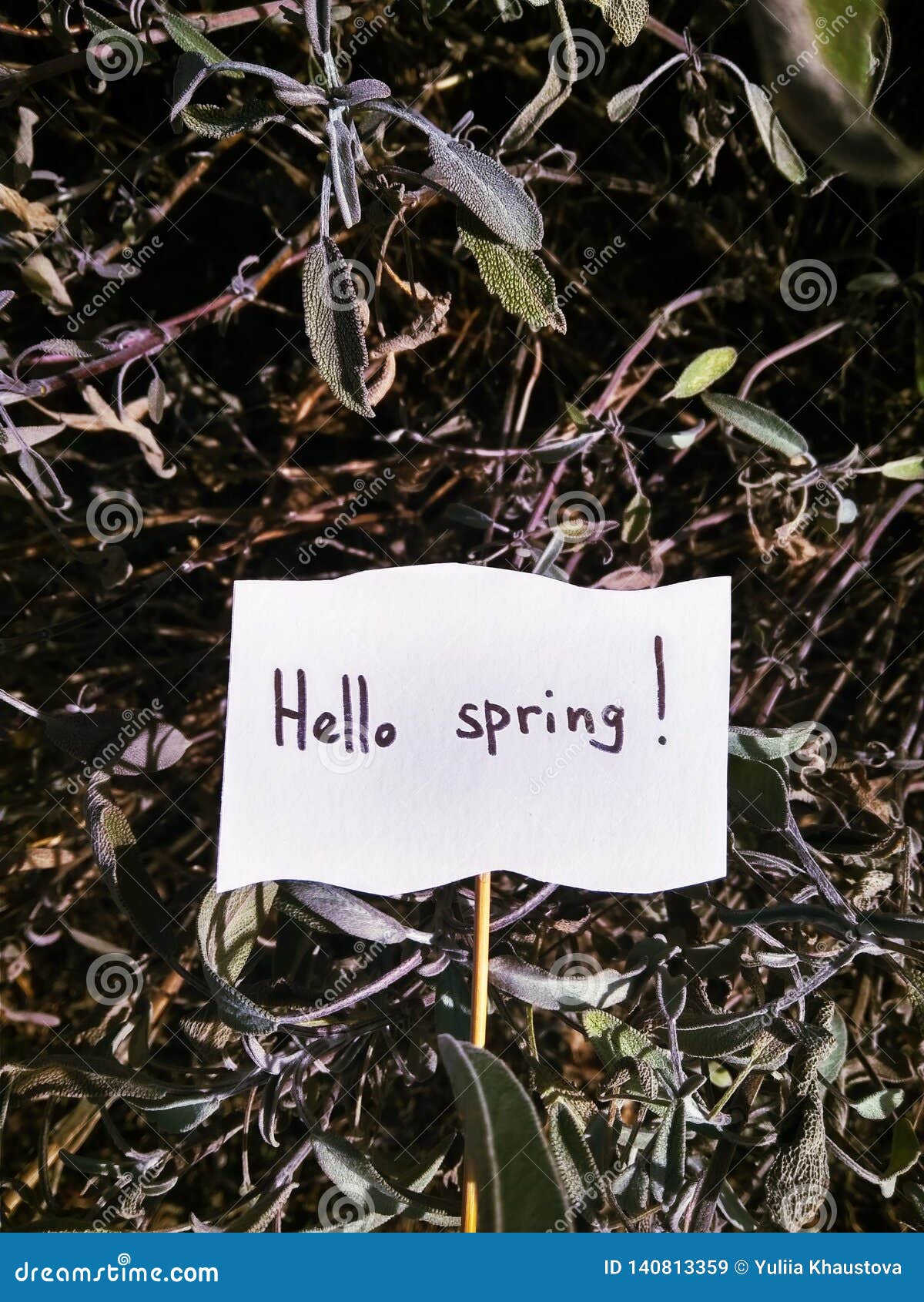 First Spring Day Inscription on Paper Hello Spring on Nature Background ...