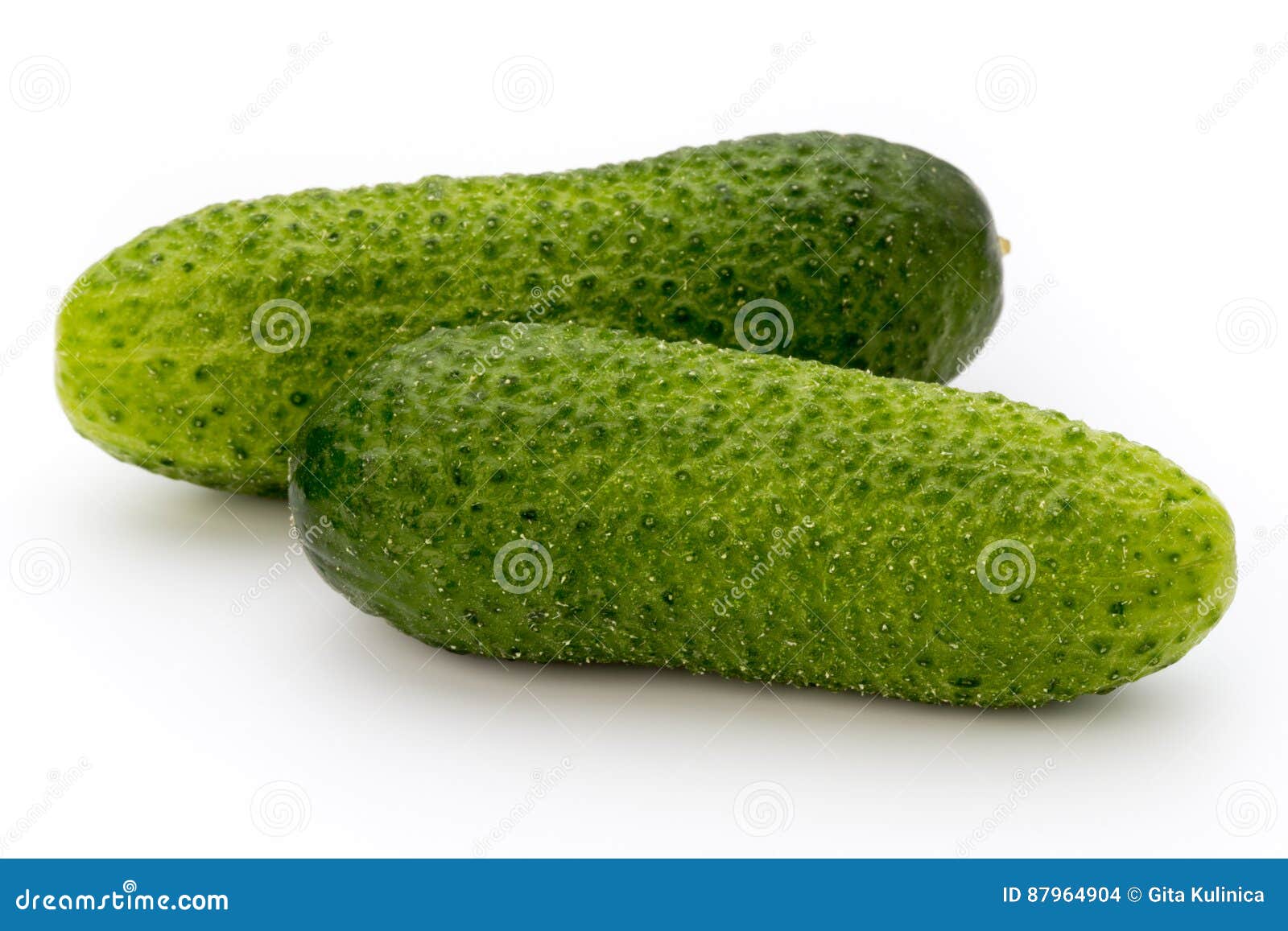 The First Spring Ecologically Cucumbers. Stock Photo - Image of four ...