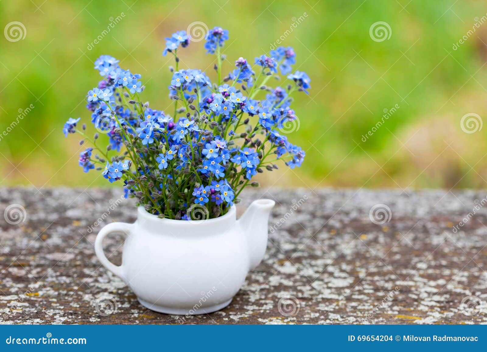 First Spring Mini Flowers in Ceramic Pot Stock Photo - Image of ...