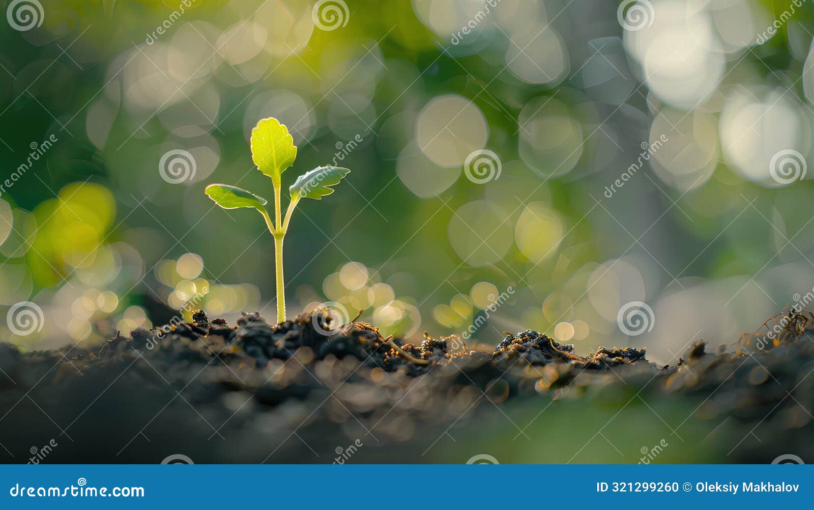 First Sprout of Plant Breaks through the Ground Stock Illustration ...