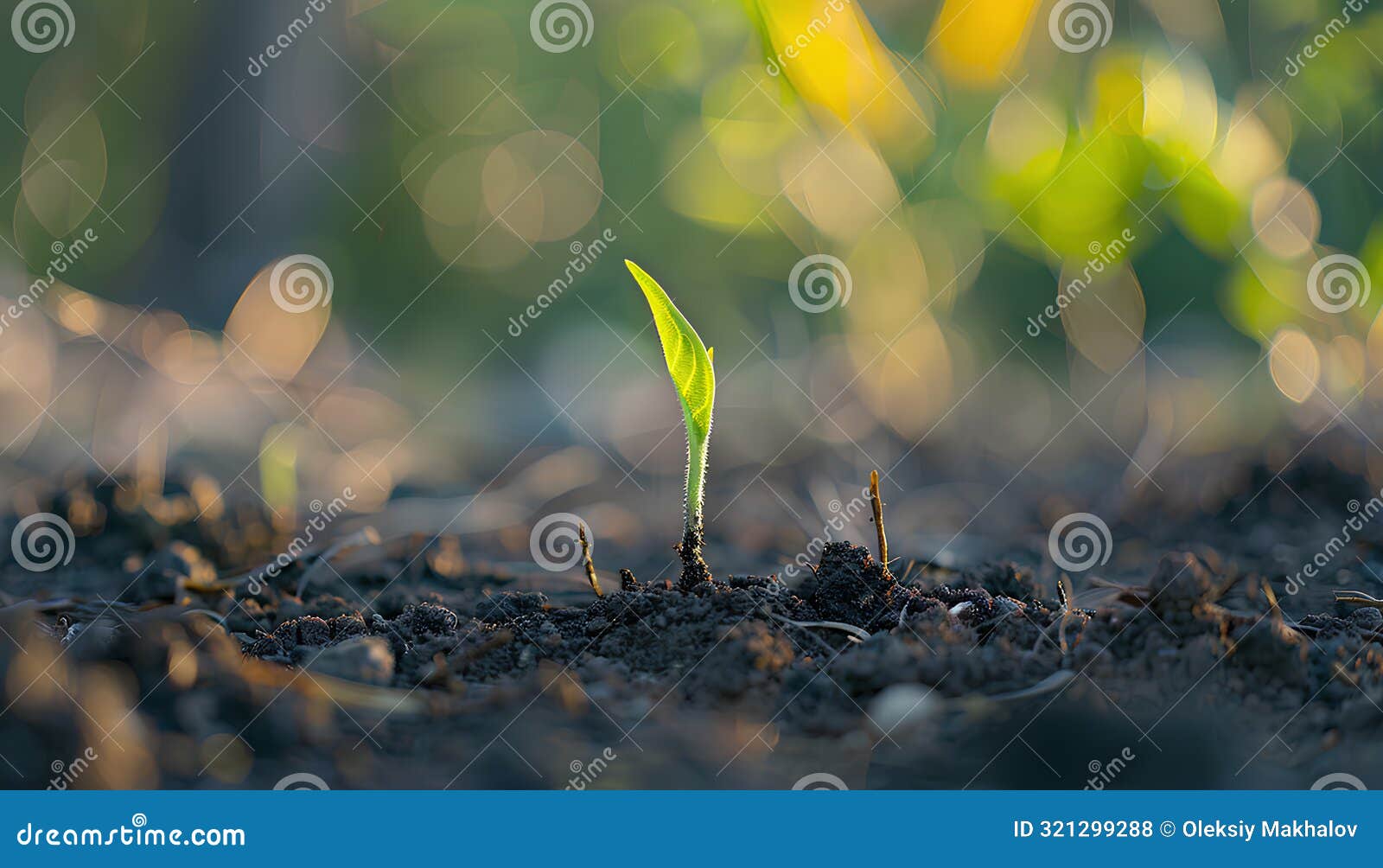 First Sprout of Plant Breaks through the Ground Stock Illustration ...