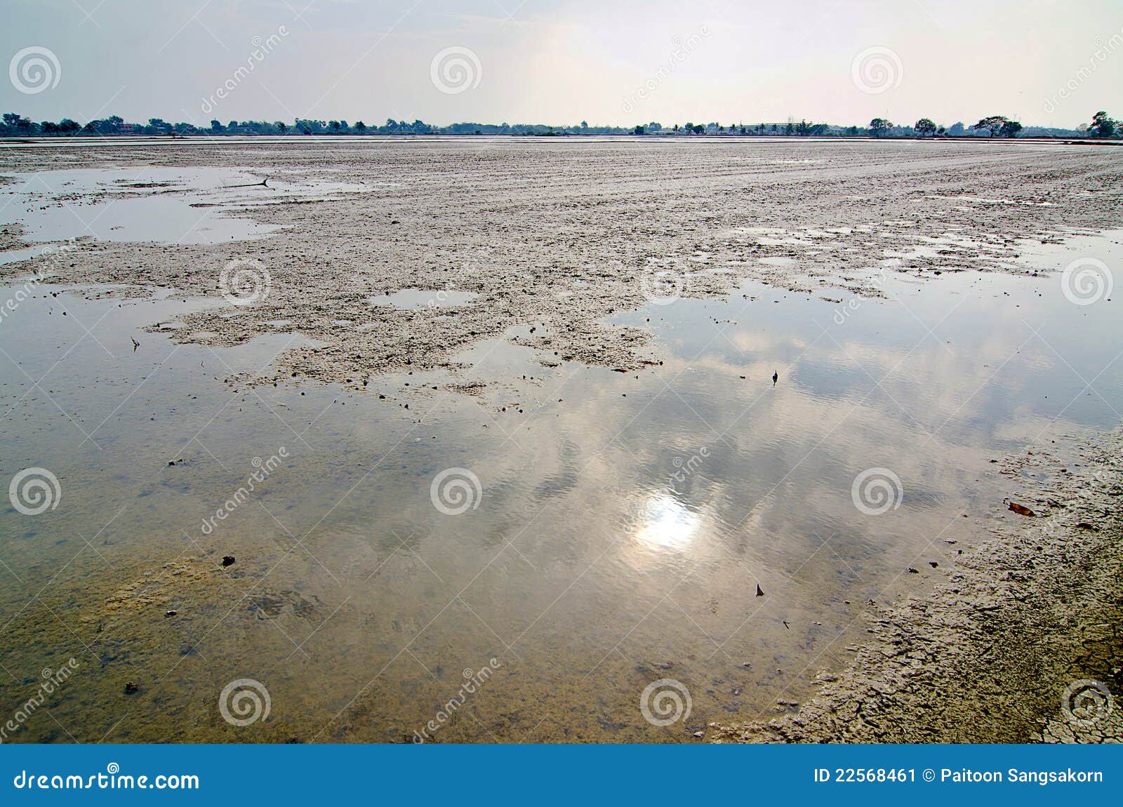 First step make rice farm stock image. Image of countryside - 22568461