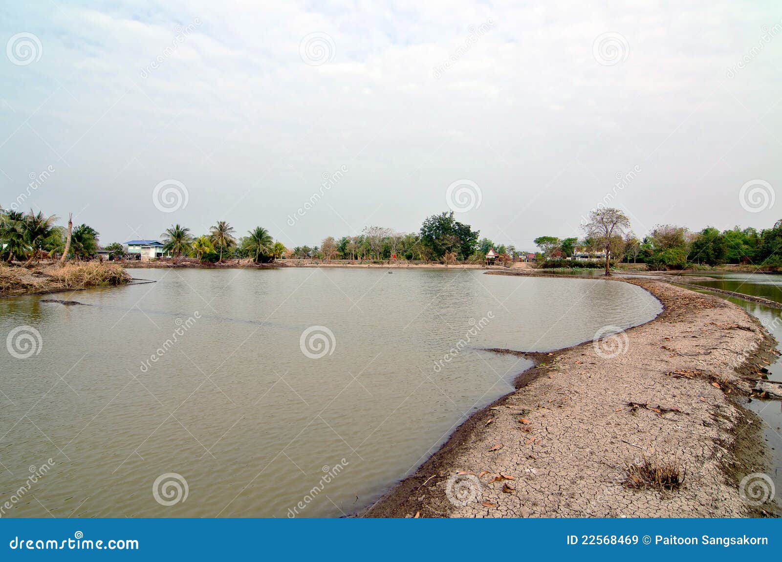 First step make rice farm stock image. Image of grain - 22568469