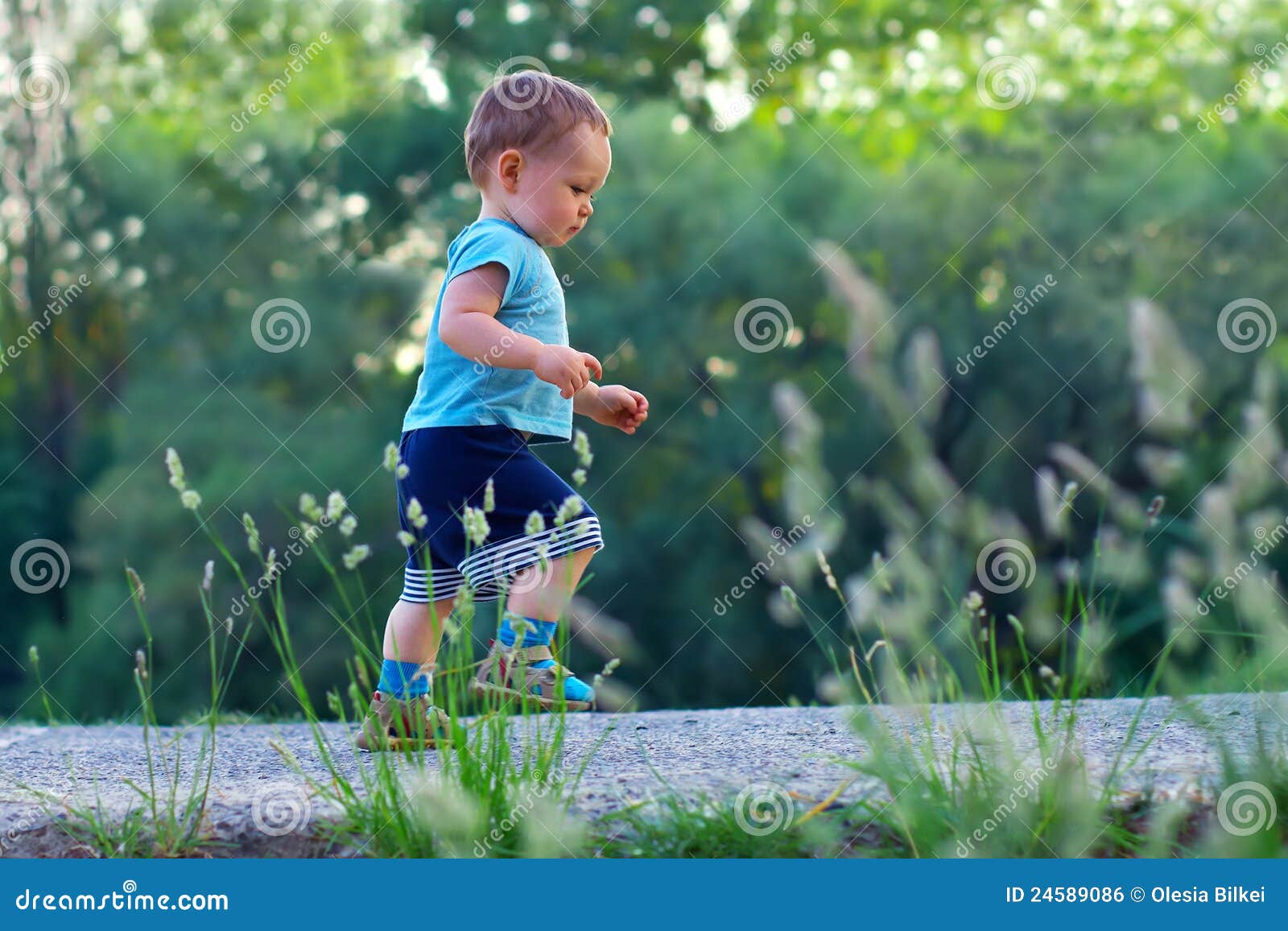 First Steps of Cute Baby Boy among Greens Stock Photo - Image of path ...