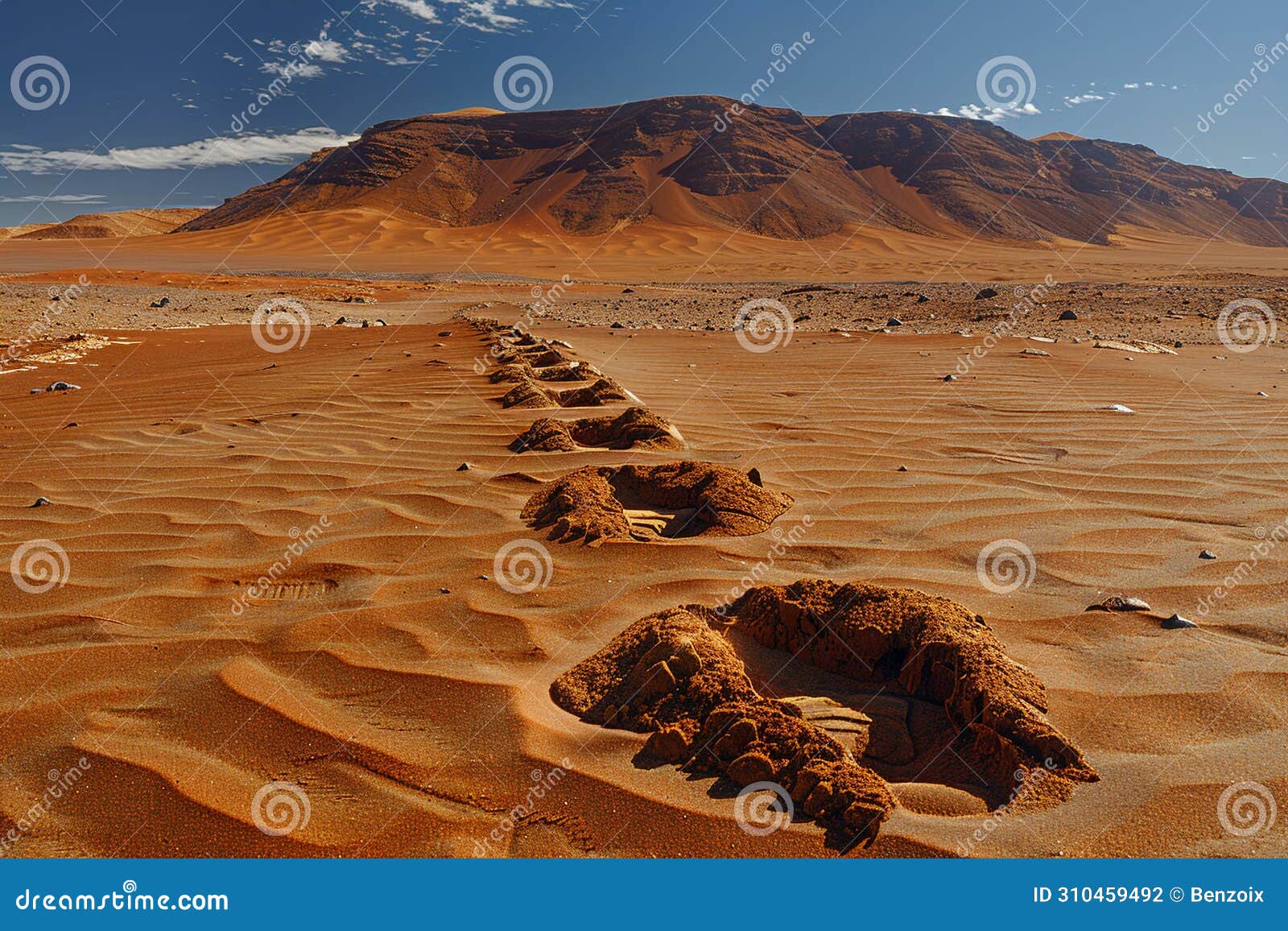 The First Steps on an Unexplored Planet Stock Photo - Image of ...